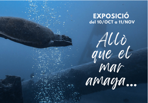 Escola Politècnica Superior d'Enginyeria de Vilanova i la Geltrú ...